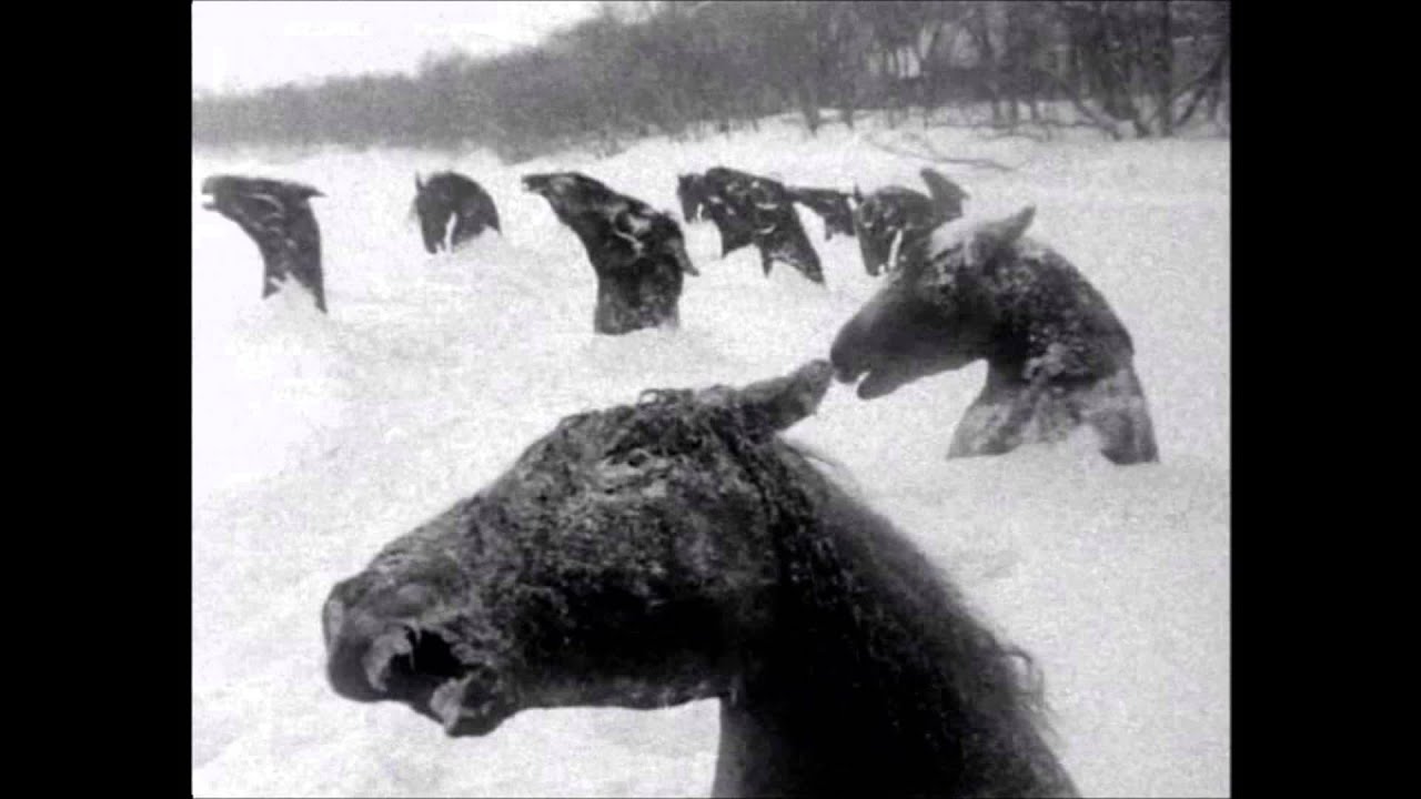 Northern Lights - Unforgiving cold - YouTube