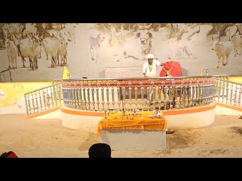 गौ माता को राष्ट्रमाता घोषित करोGodham Pathmeda - YouTube