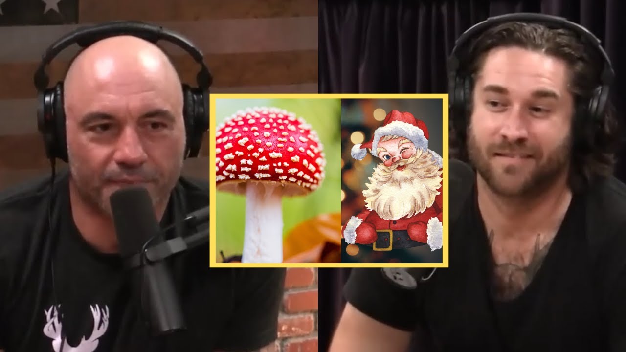 Joe Rogan On Santa Clause Is a Mushroom 🍄 Theory - YouTube