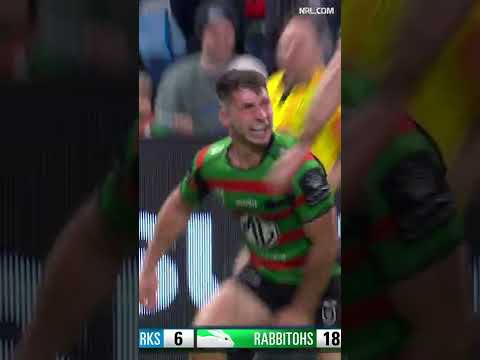 Razzle-dazzle Rabbits! #shorts - YouTube