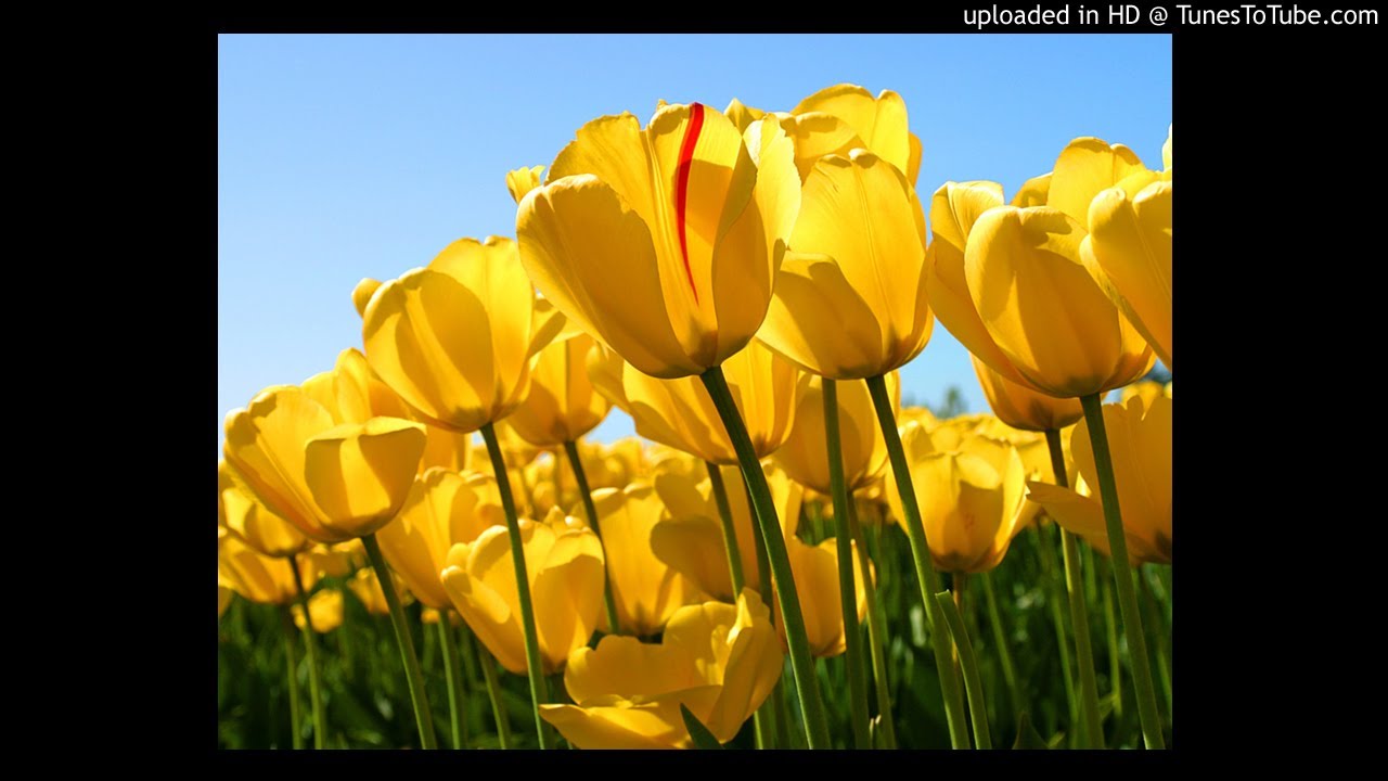 Stan Kenton - Whistle Walk - YouTube