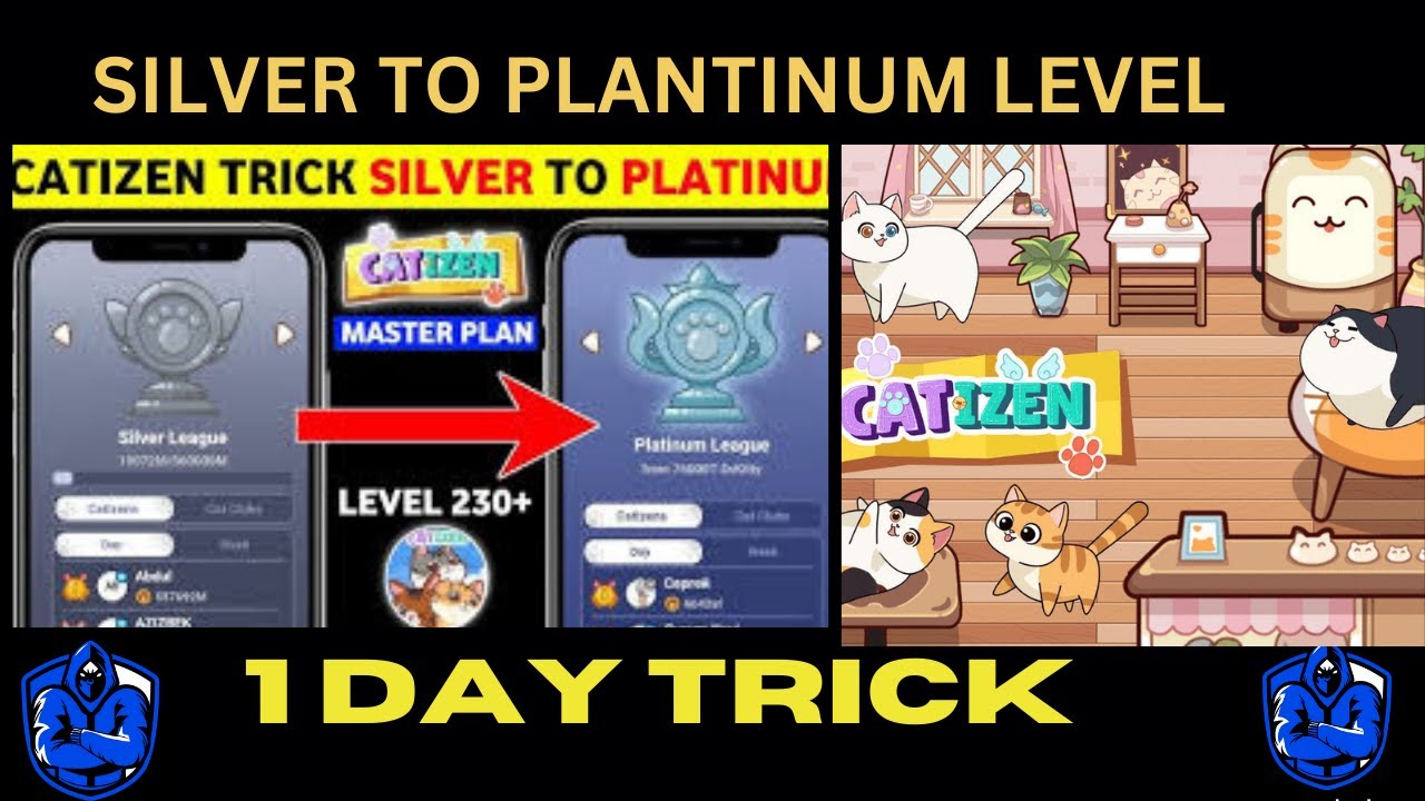 How to increase catizen level from silver to plantinium in one day ...
