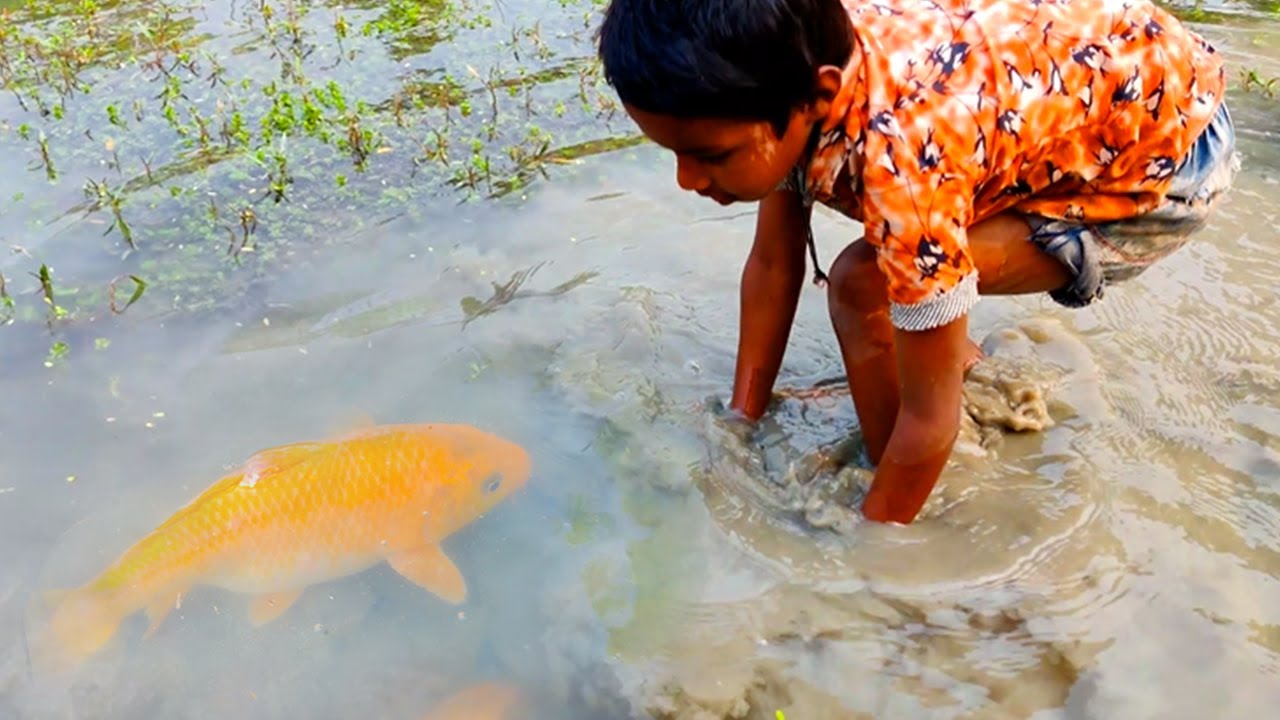 amazing hand fishing video - Smart boy catching fish by hand from mud ...