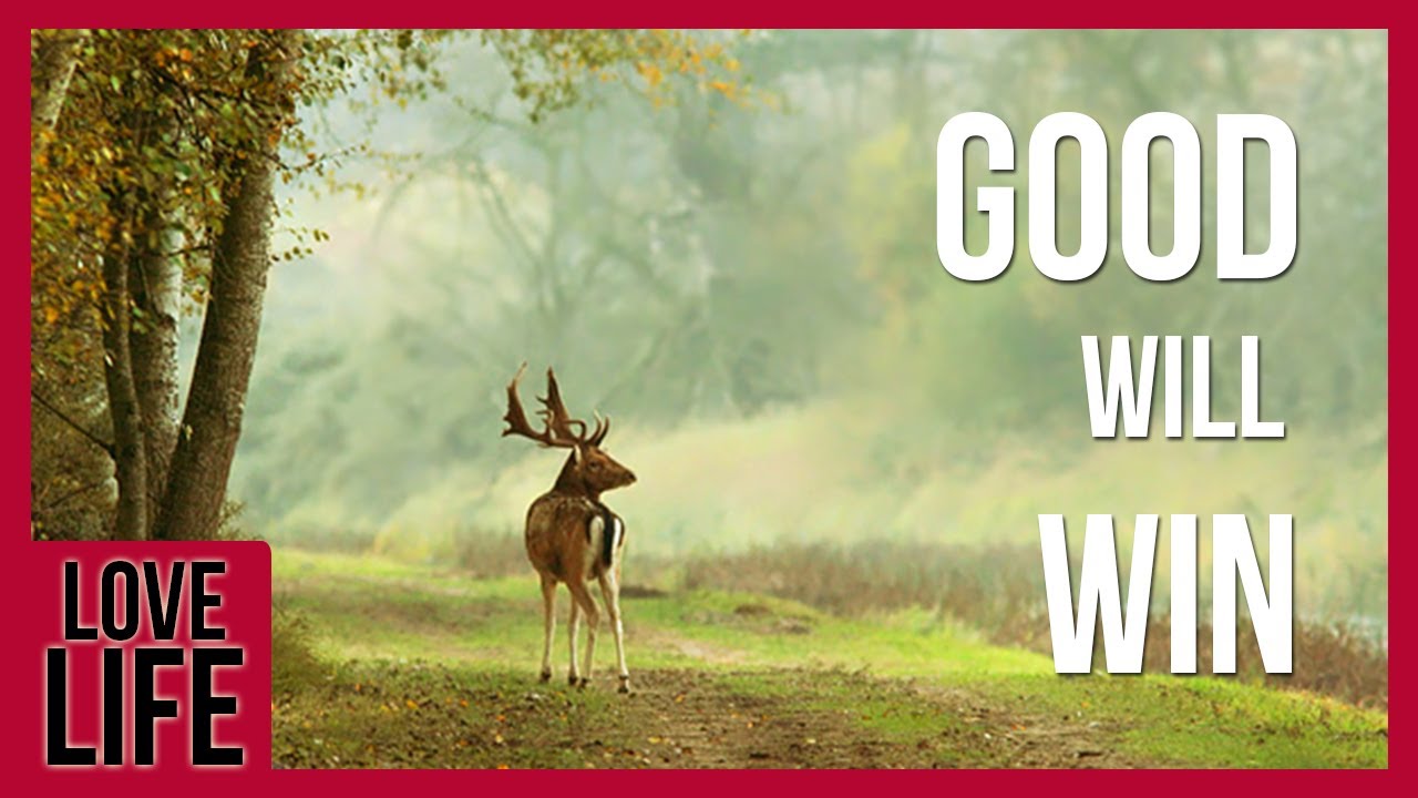 Good Will Always WIN - Abraham Hicks - MOTIVATIONAL - YouTube