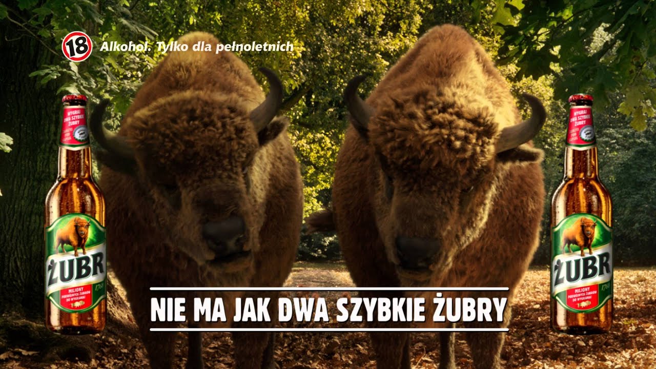 Reklama piwa Żubr 30" - Wygraj dwa szybkie Żubry [Żubr official] 2016 ...