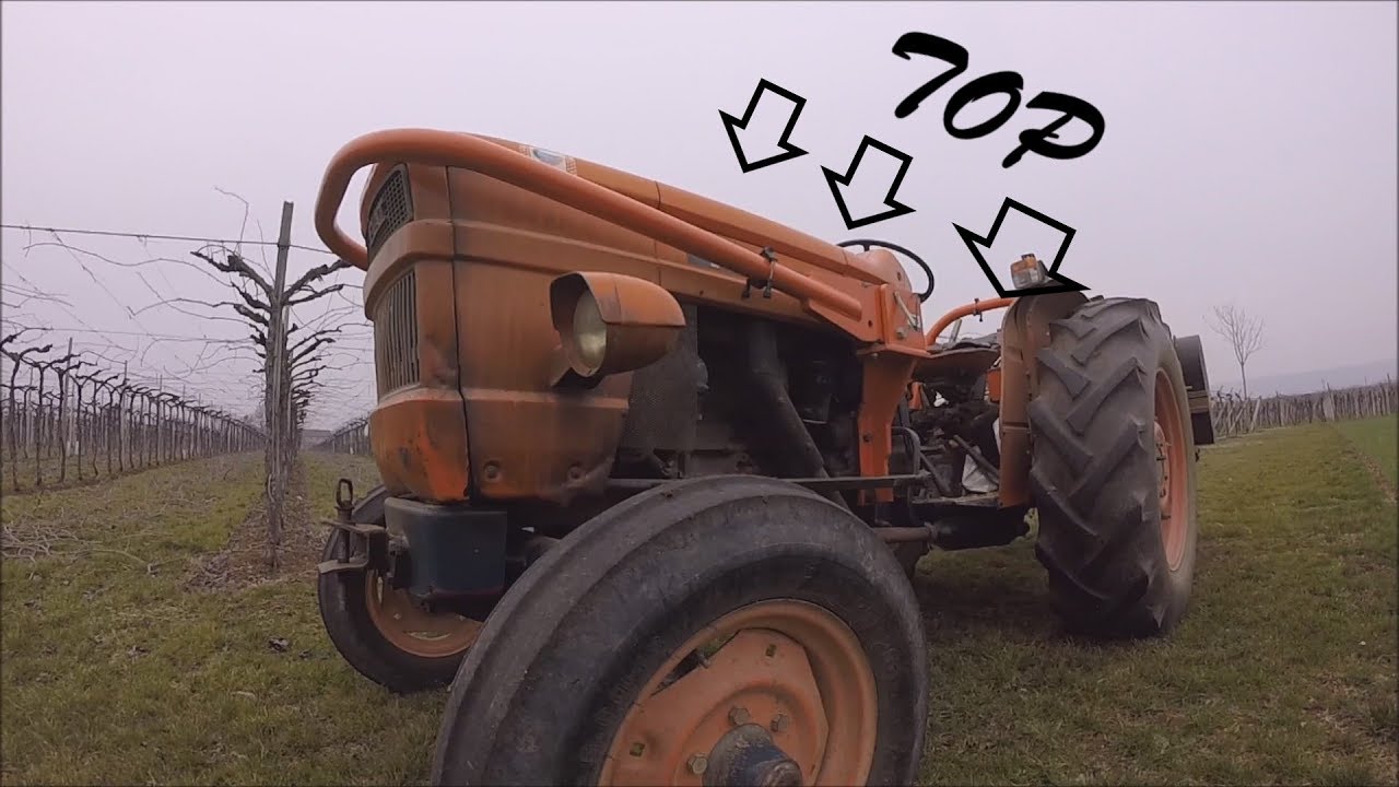 FIAT 550: Al lavoro con un campione!!!!!! - YouTube