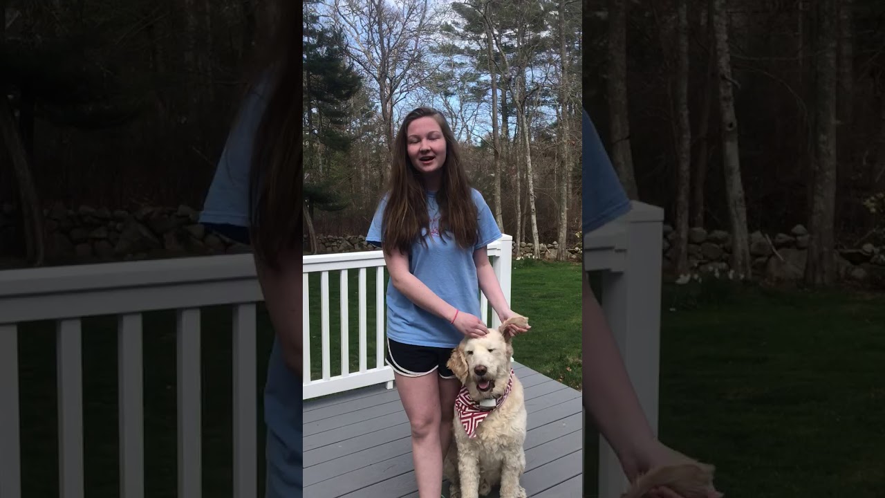 Danielle Nutter - YouTube