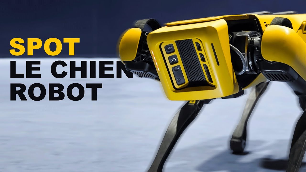 Spot le chien robot à Yverdon-les-Bains - YouTube