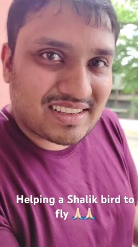 Helping a Shalik bird to fly 🙏🏻🙏🏻 - YouTube