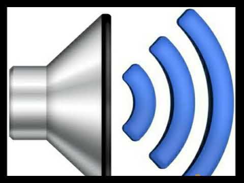 Bak Bak Diye Bağıran Adam Sesi#ses#secimsenin1