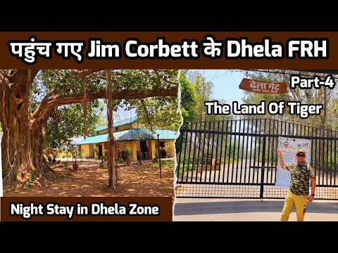 पहुंच गए Jim Corbett के Dhela FRH | Corbett National Park | Dhela Zone ...