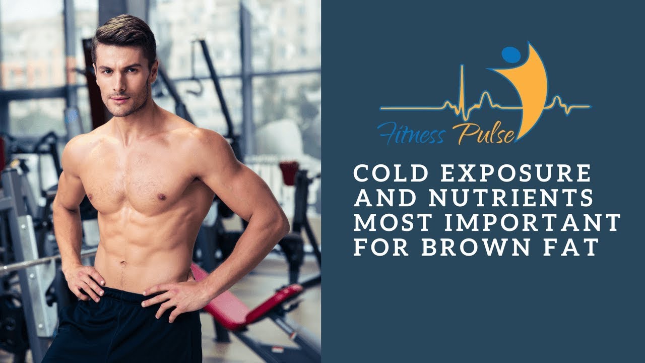 Cold Exposure and Nutrients Most Important for Brown Fat - YouTube