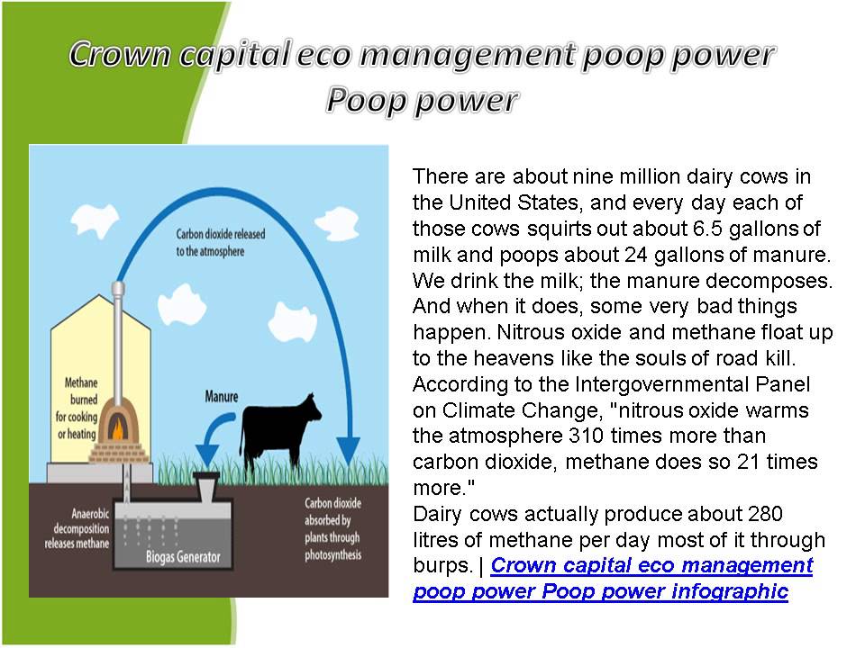 Poop power: A new generation of companies bet on a different renewable ...