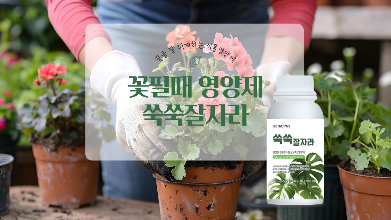 꽃필때 영양제는 3대영양소아미노산미네랄광합성촉진성분이 함유된 제닉피앤에스 쑥쑥잘자라 추천 식물영양제 꽃필때영양제 쑥쑥잘자라 제닉피앤에스 Youtube