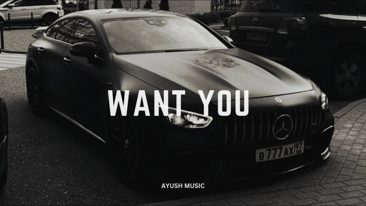 AYUSH MUSIC - WANT YOU (REMIX) - YouTube
