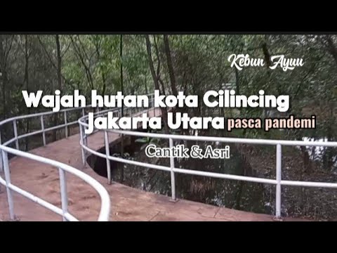 Ruang Terbuka Hijau Hutan Kota Cilincing Jakarta Utara || #jakarta #jakartautara  Kebun Ayuu