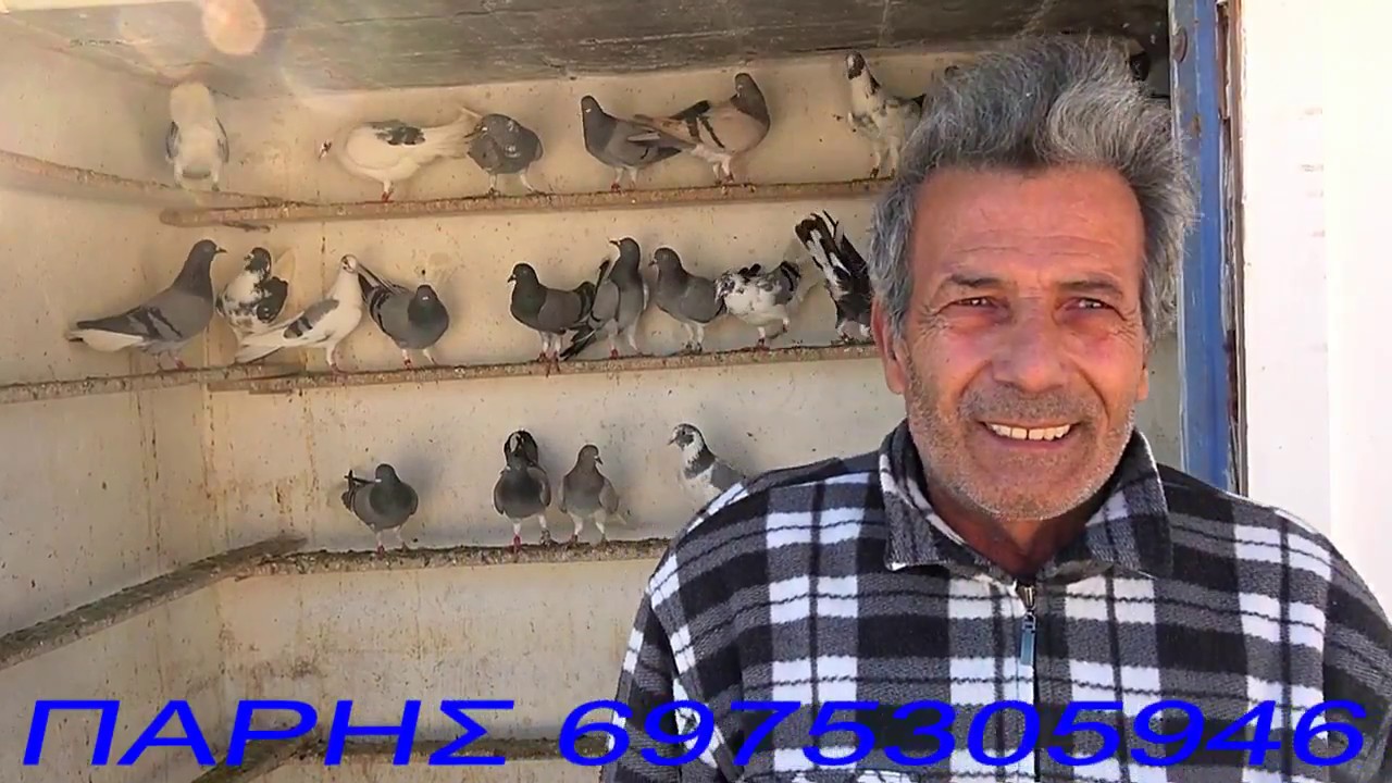 ΠΕΡΙΣΤΕΡΙΑ ΒΟΥΤΕΣ ΠΑΡΗΣ ΣΑΝΤΟΡΙΝΗ 2017 - YouTube