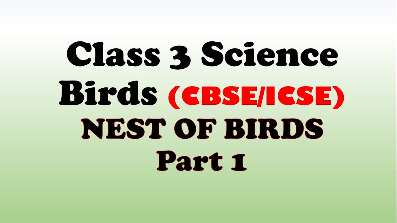 Class 3 Birds| Class 3 Nesting Habit Of Birds | CBSE Class 3 Birds ...