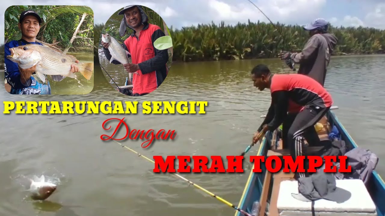 Mancing Ikan Merah Tompel | di Muara Bulungan | Fishing Umbrella - YouTube