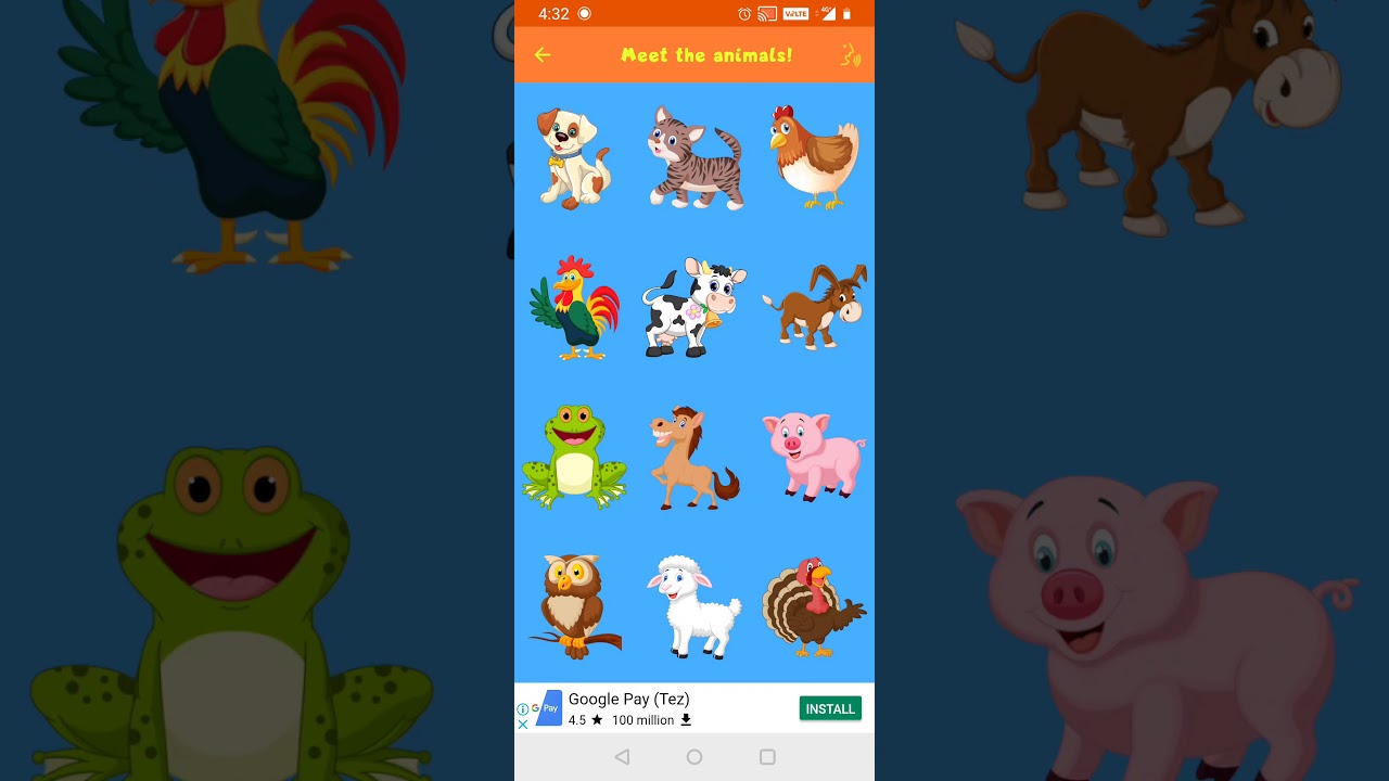 Pet Animal voices - YouTube