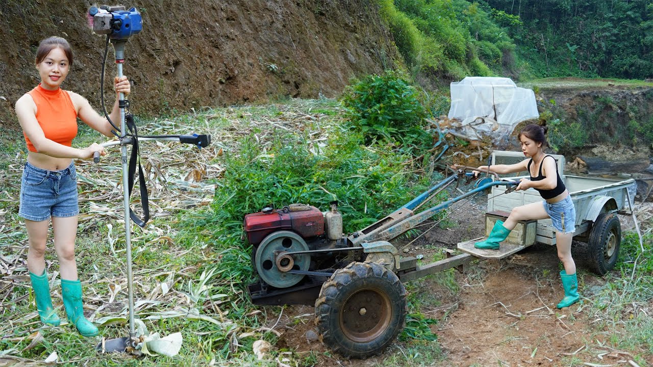 Picking corn, clearing the fields - living alone in the middle of the forest - YouTube