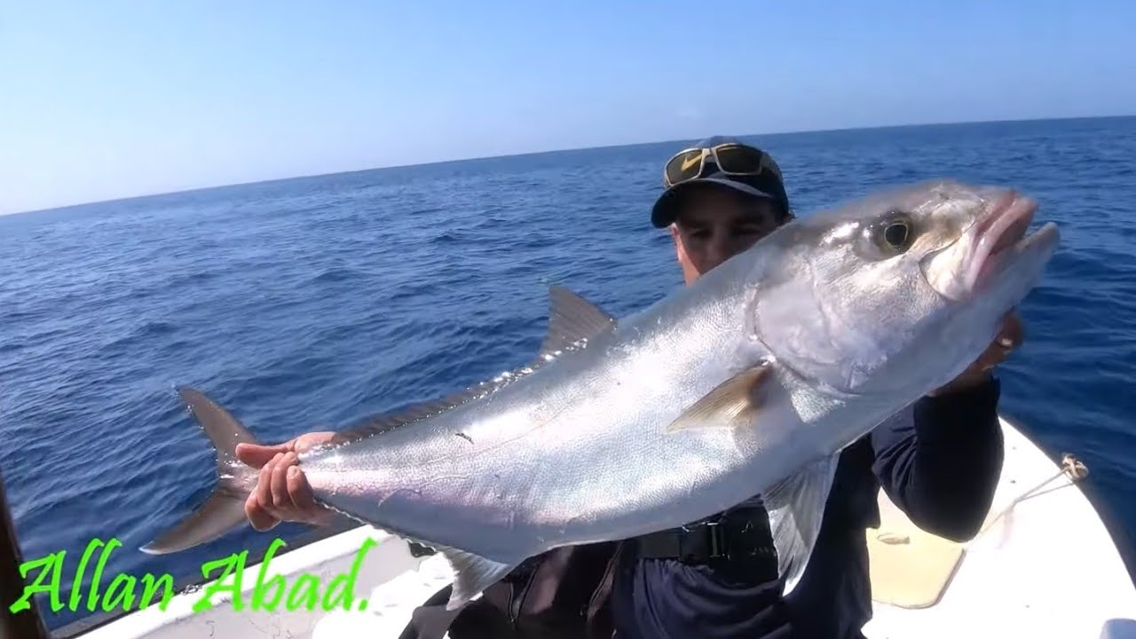 3ER AMBERJACKS GREATER CON TEMPORADA CERRADA \\Allan Abad - YouTube