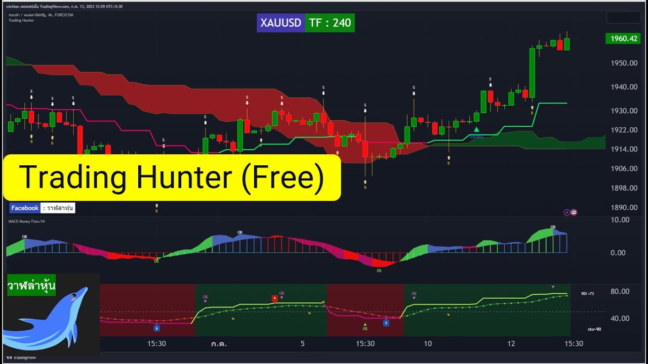 #Trading_Hunter_(Free) - YouTube