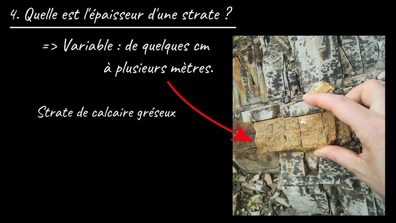 STRATE et STRATIGRAPHIE (par Mme Ruault-Djerrab) - YouTube