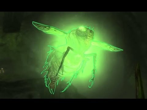 Legendary Bloatfly In SKYRIM - YouTube