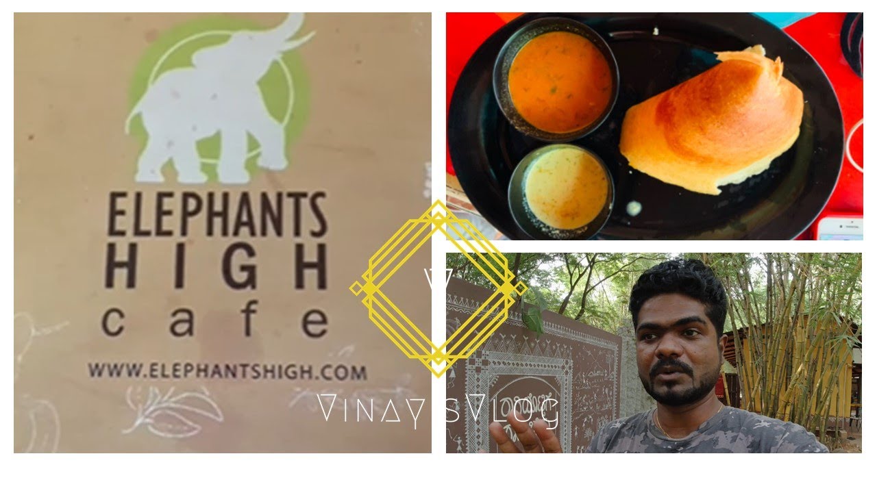 ELEPHANT HIGH'S CAFE #Cafe #Foodie #bangaloreVlog - YouTube