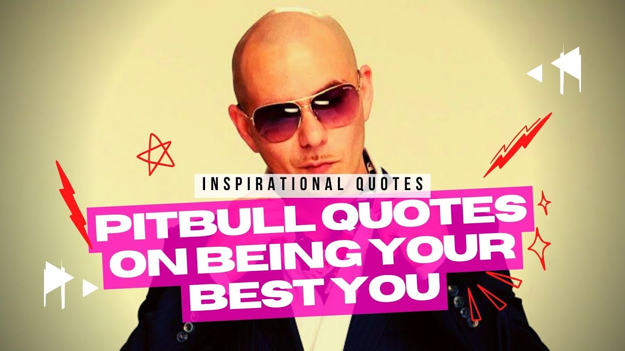 Pitbull Rapper Quotes