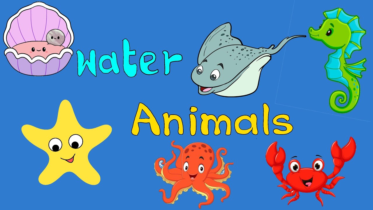 WATER ANIMALS NAME | WATER ANIMALS NAME IN ENGLISH |WATER ANIMALS NAME ...
