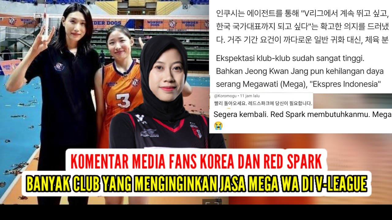 Megawati Diminati Banyak Club Korea ⁉️Komentar Media Fans Korea Dan Red ...