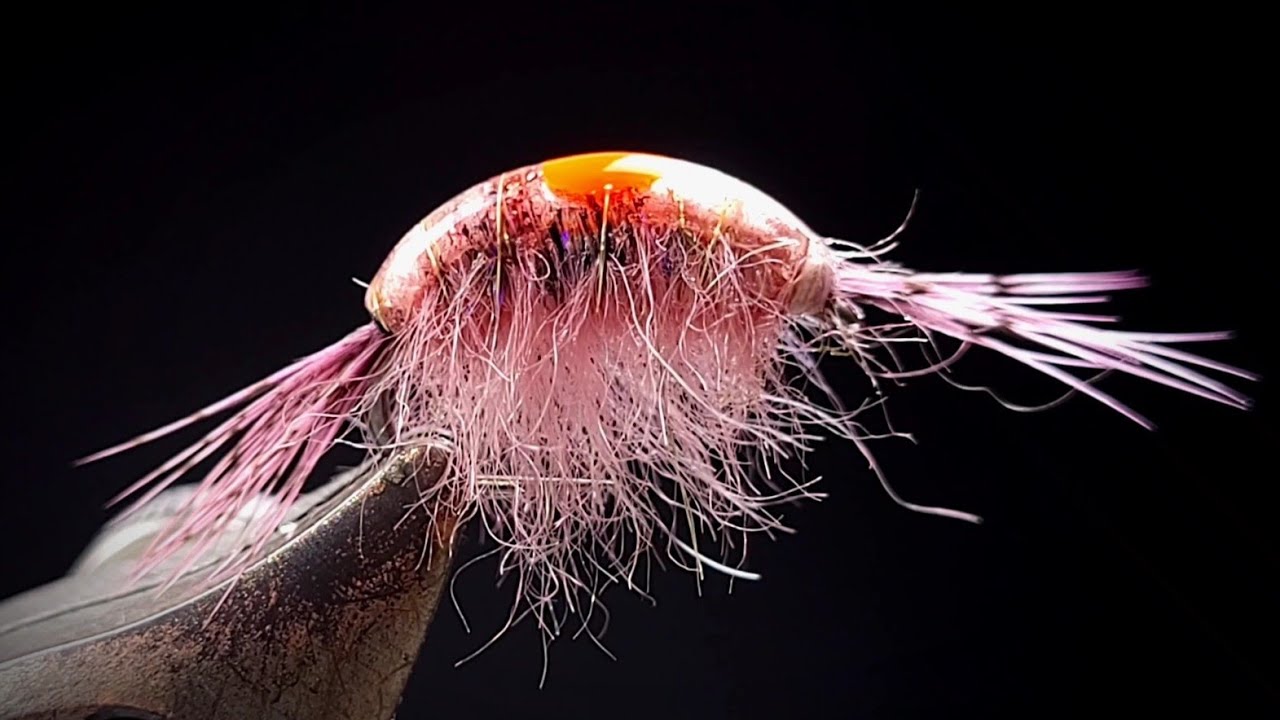 Hot Spot Pink Shrimp fly pattern - Show case fly tying short #flytying ...