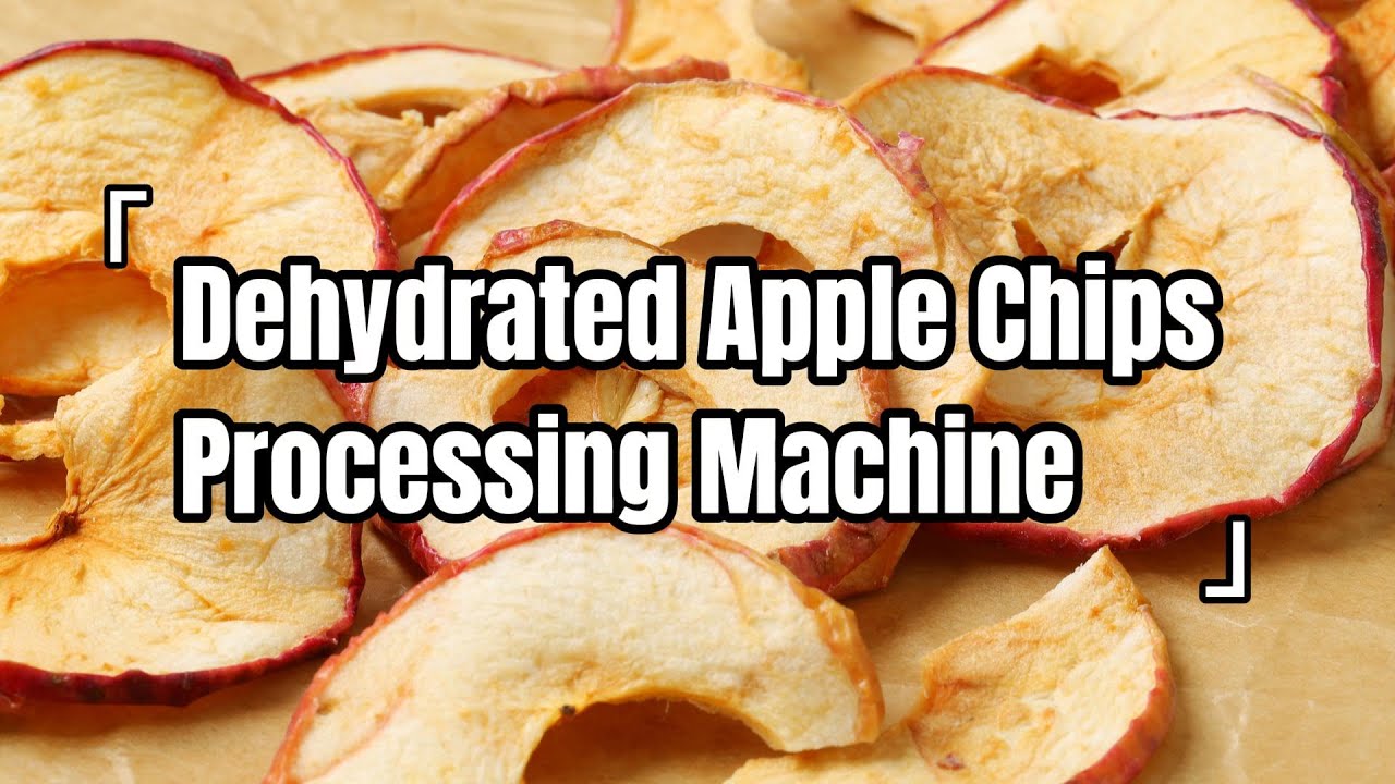 Dehydrated Apple Chips Processing Machine | Washing, Slicing, Drying ...