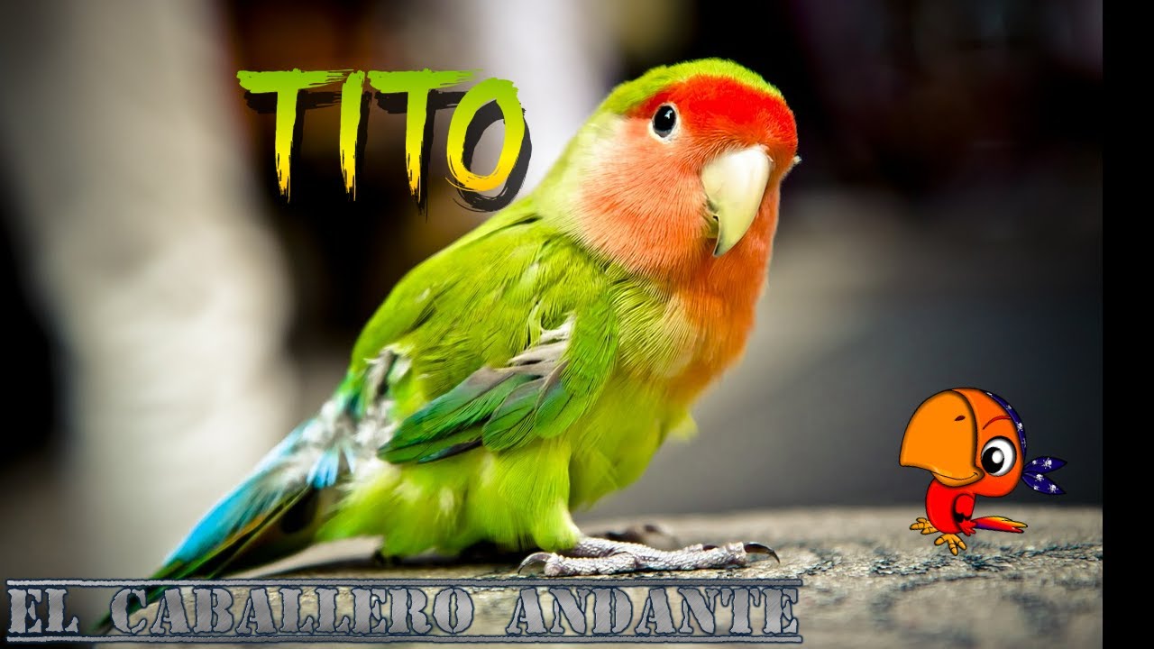 TITO - YouTube