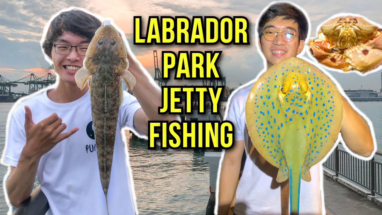 Labrador Park Jetty Fishing: Stingrays, Flathead and Rare Crab ...