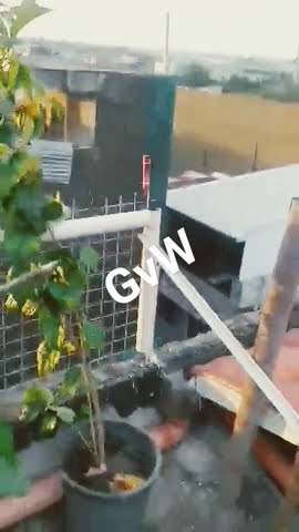 StarLight Kwitis Small - YouTube