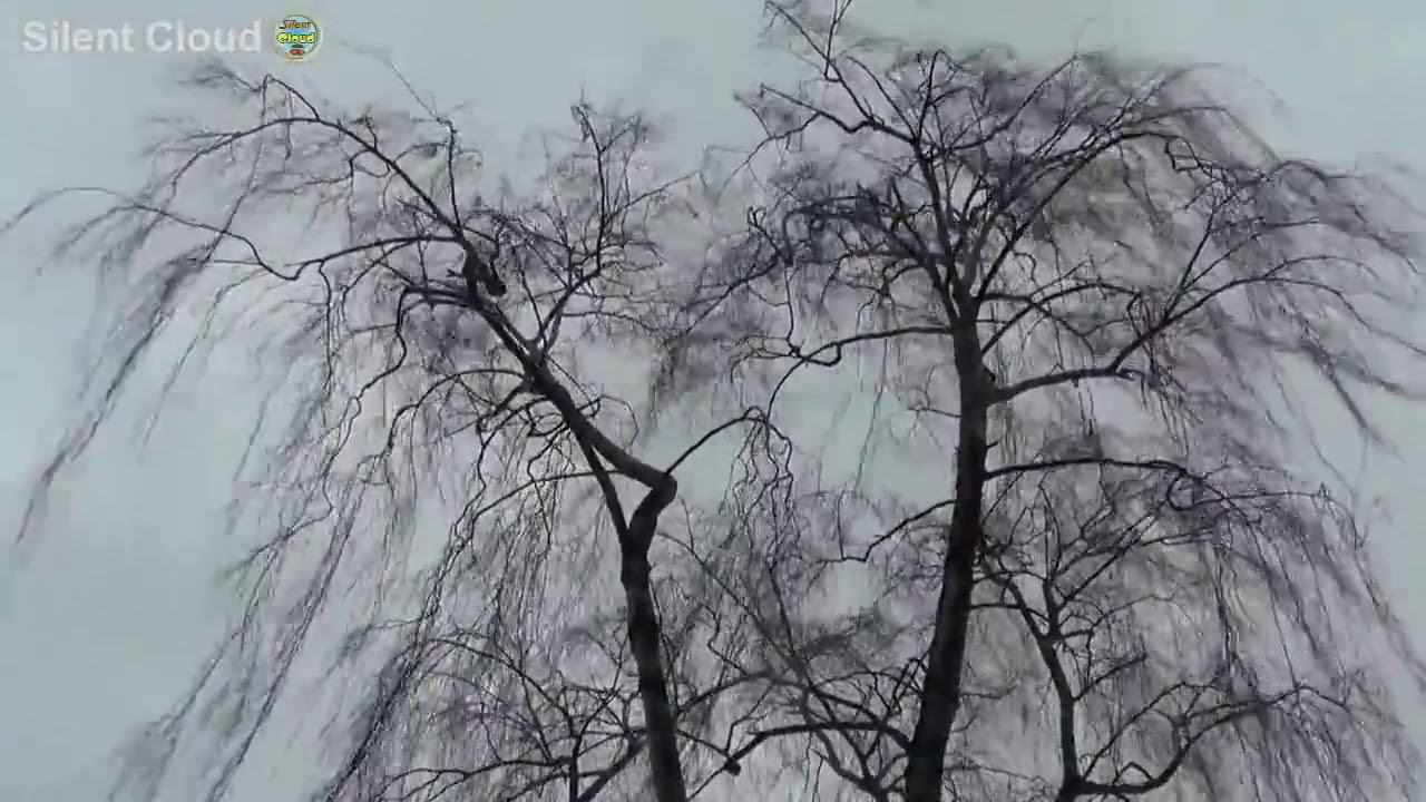 Wind Sounds For Sleeping | Soft Wind Sound Effect | Sound Of Wind ...