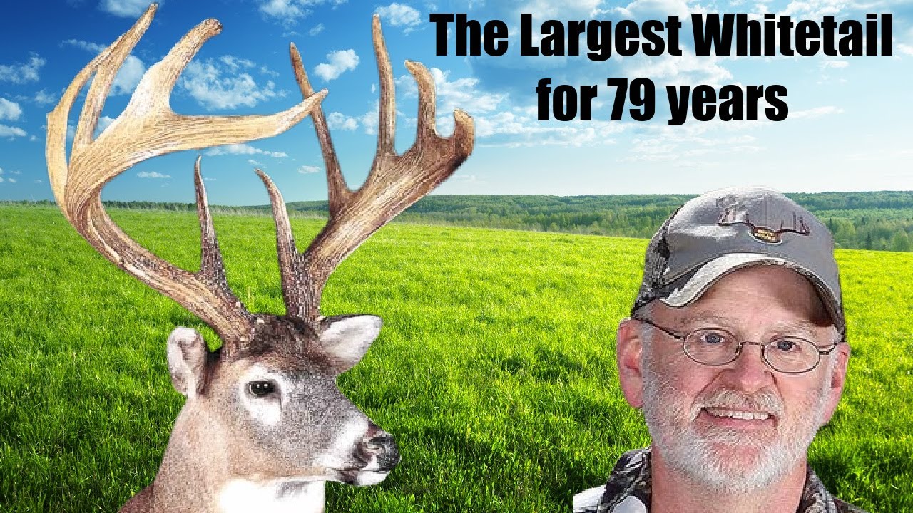 The Controversial Jordan Buck with Gordon Whittington - YouTube