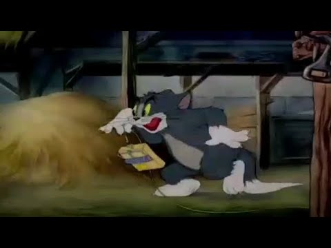 Tom's Tiptoeing With Mousetrap For 10 Hours! - YouTube