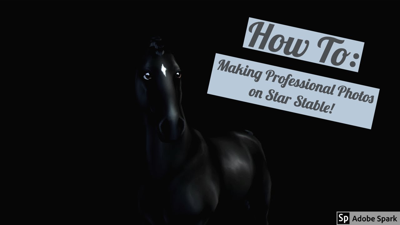 How to take a Professional looking photo in Star Stable! // Star Stable ...