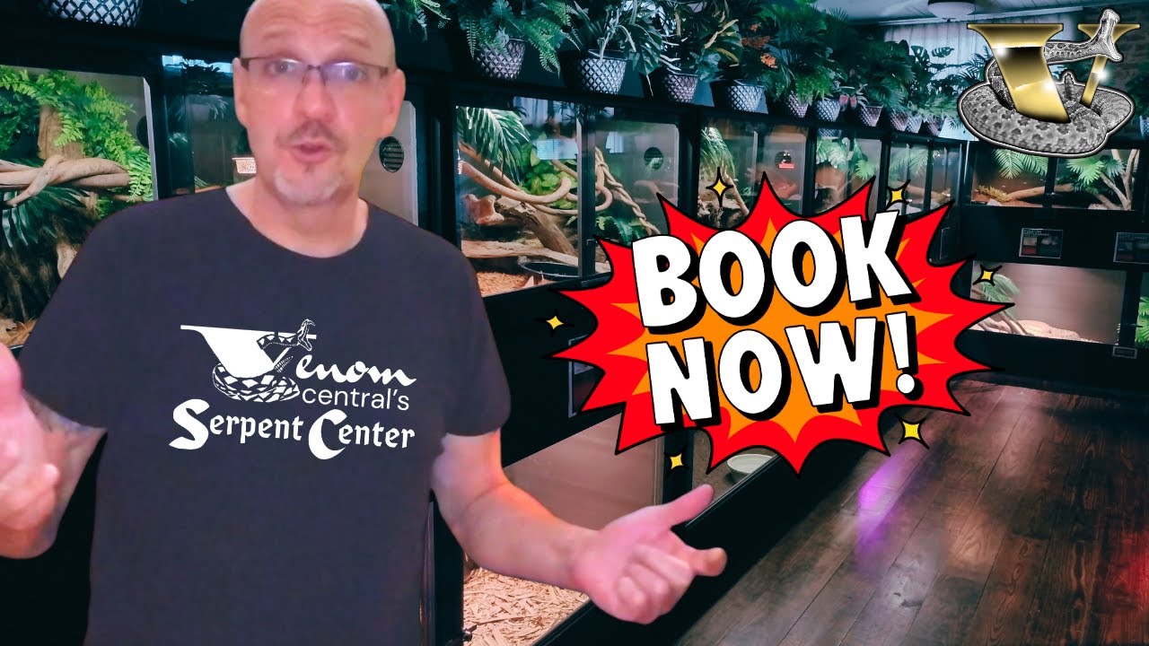 The Most Impressive Snake Collection You’ll Ever See - YouTube