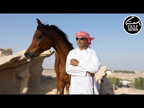 A day in the life of Emirati Ali Al Ameri: The man who ‘speaks’ to wild horses