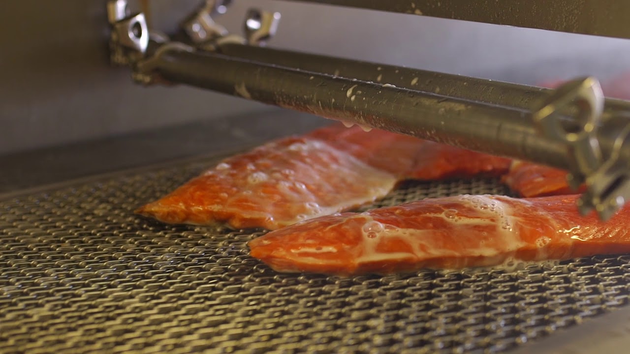 Salmon Needleless Injection - YouTube