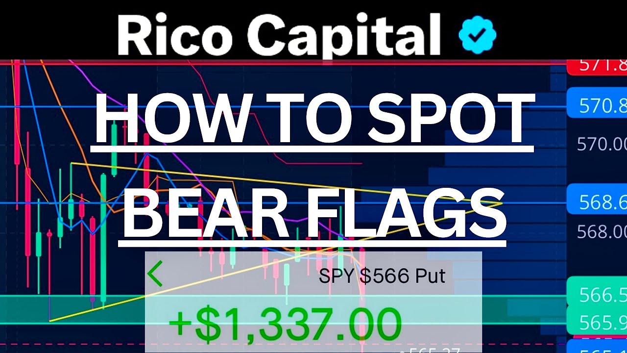 BEAR FLAGS. - YouTube