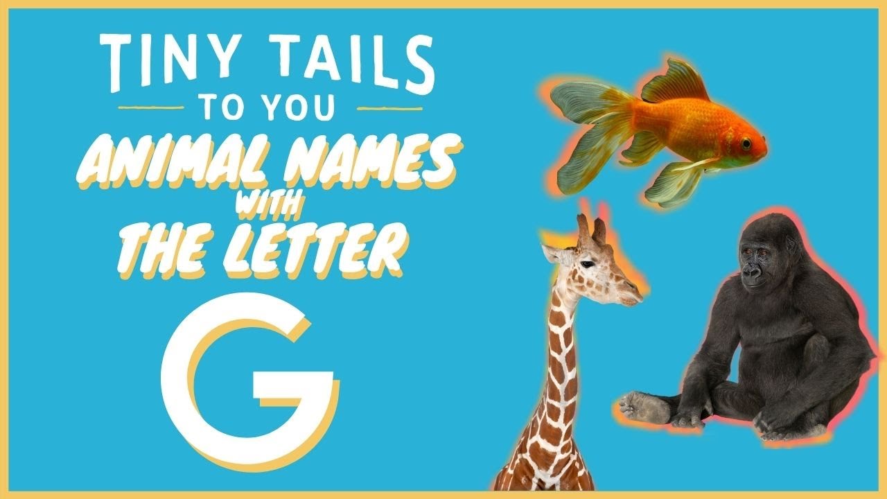 Animals That Start With The Letter G