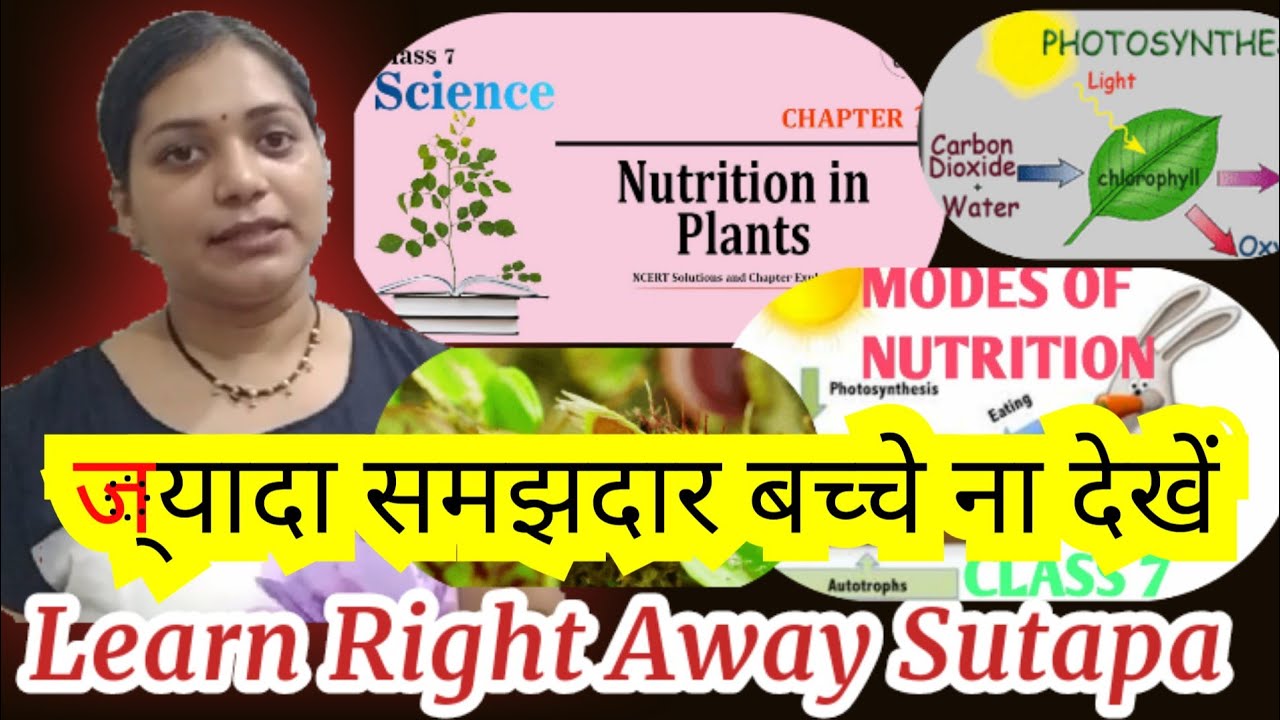 Nutrition in Plants || NCERT Summary for Class 7, Science, Chapter 1 ...