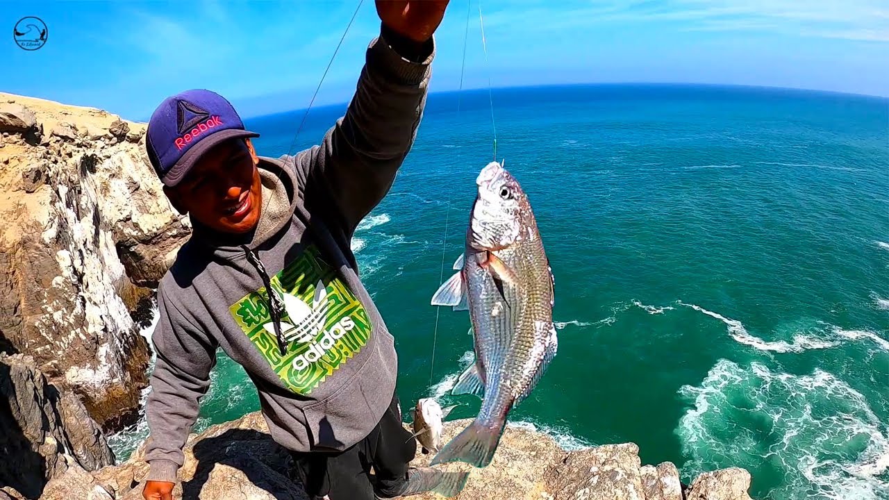 Pesca de Grandes Peces del Mar con Carnada EFECTIVA . - YouTube