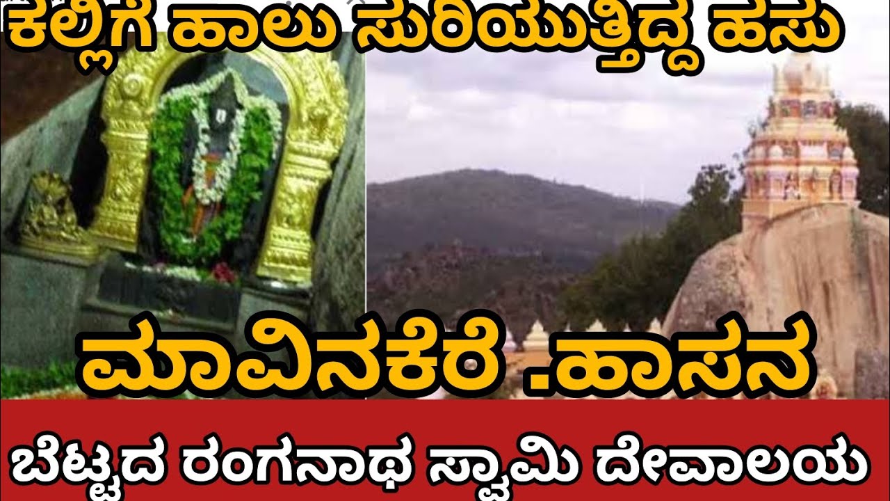 ಮಾವಿನ ಕೆರೆ ಬೆಟ್ಟದ ರಂಗನಾಥ ಸ್ವಾಮಿ ದೇವಾಲಯ|mavinakere Betta Ranganatha ...